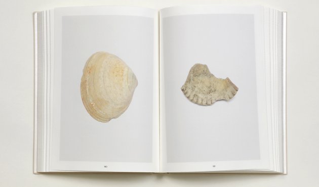 Das Schönste der Schönsten ist: "Shell Reader"