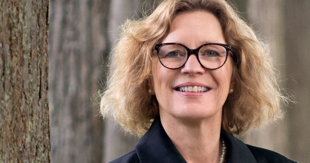 Starke Plattform, starke Branche