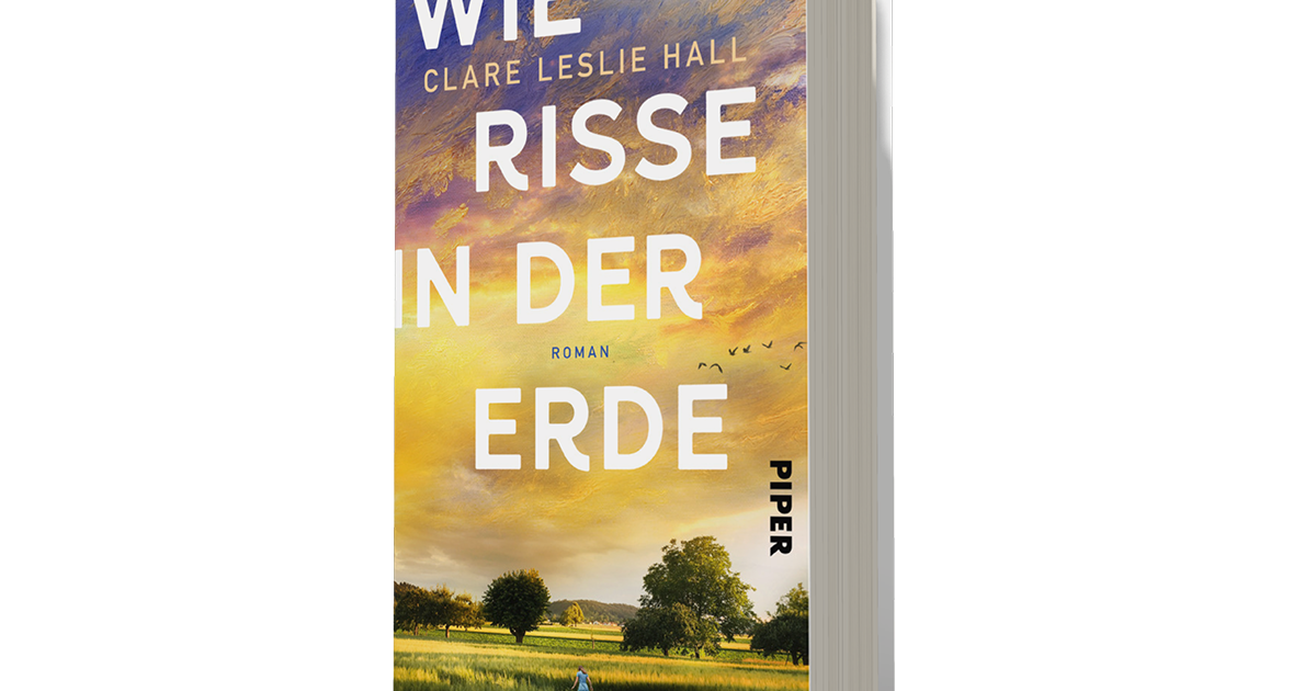 Wie Risse in der Erde – Ein großartiger Roman über Liebe, Verlust und ...