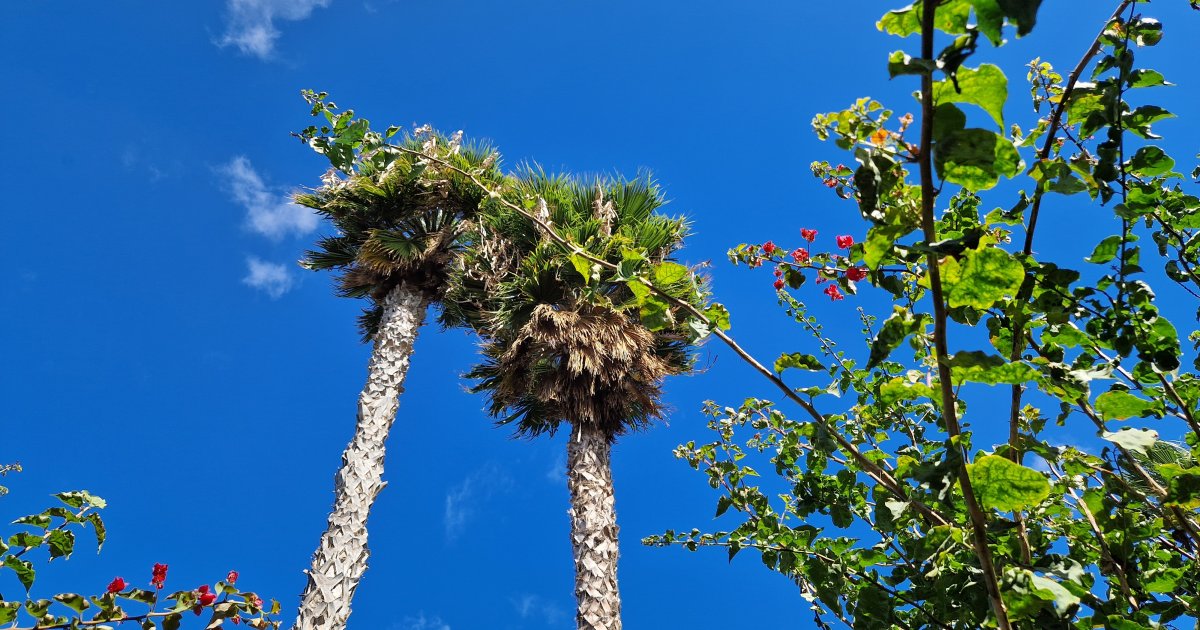 Hoffen, dass sich der Wind dreht