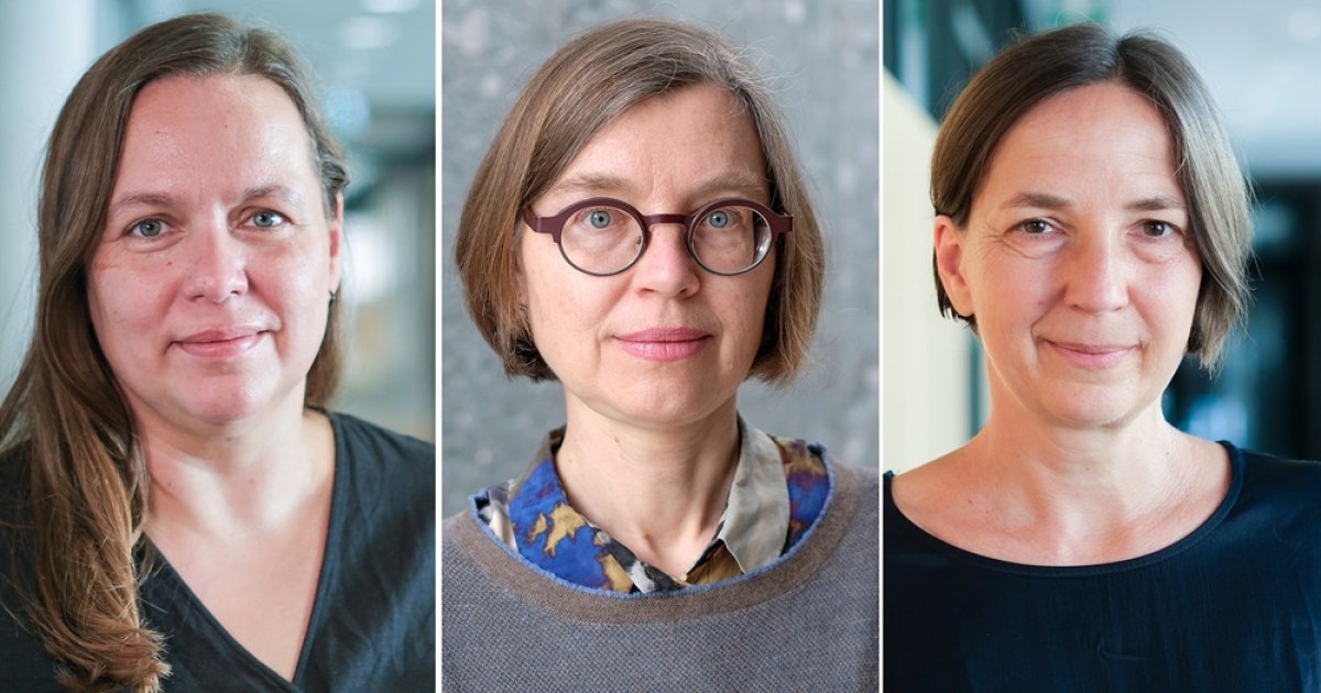 Ab Dezember drei neue Fachbereiche